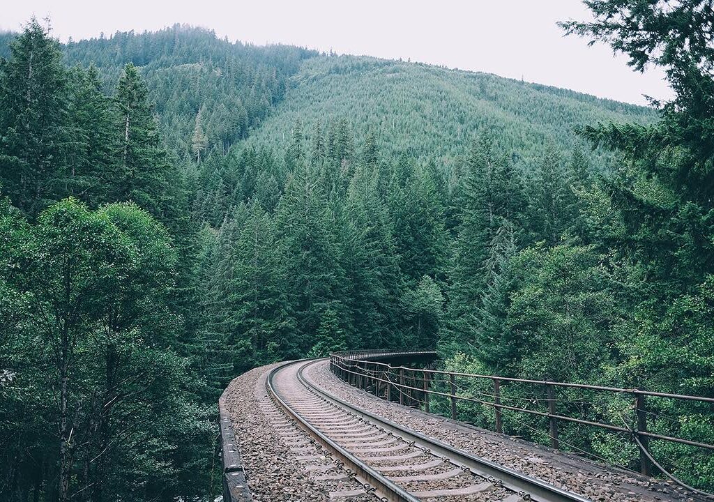 Classic Blog - Phlox Elementor WordPress Theme - Complete Elementor ...