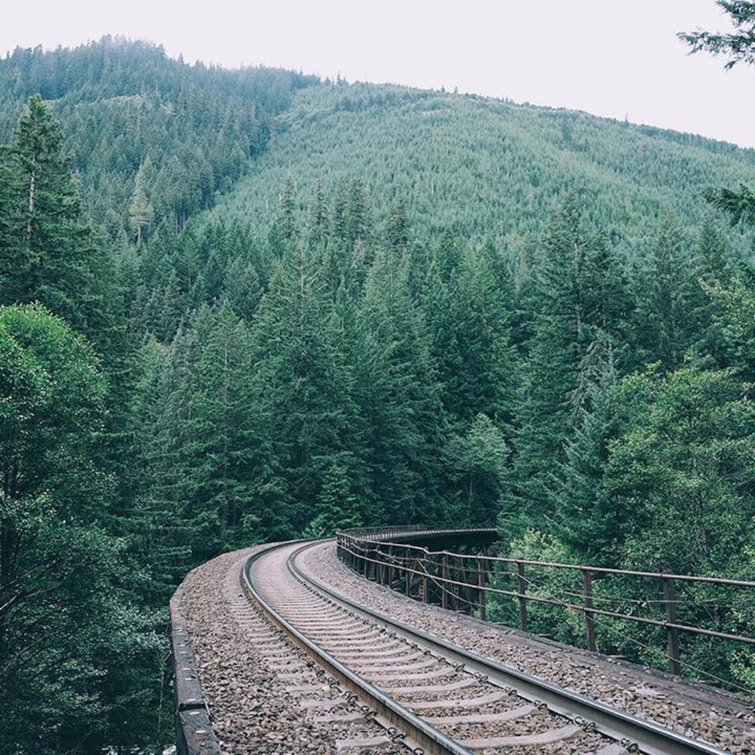 Classic Blog - Phlox Elementor WordPress Theme - Complete Elementor ...