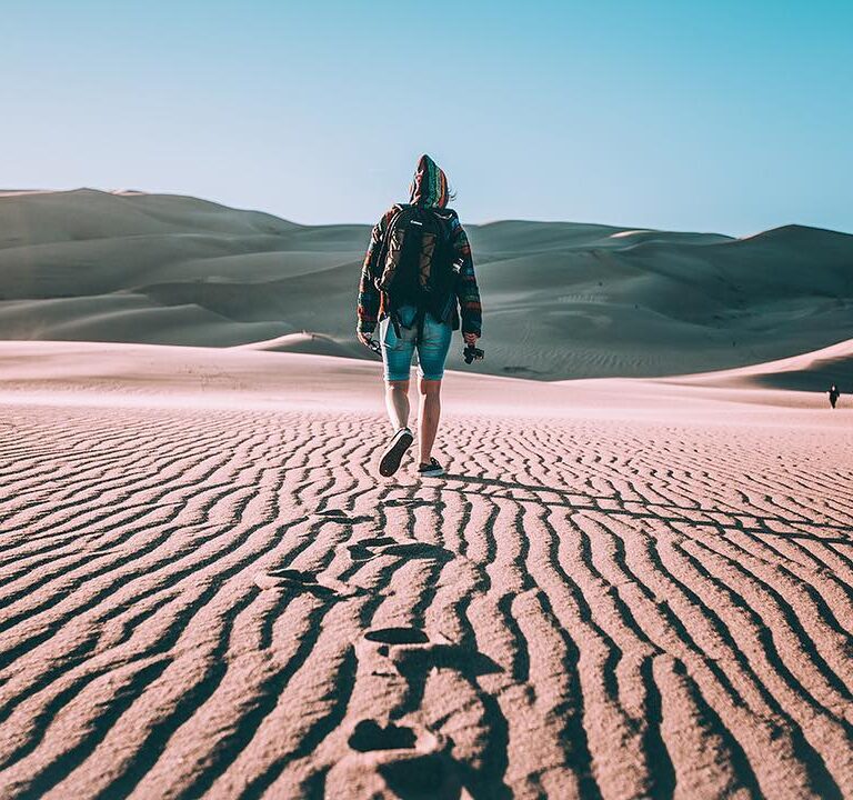 Classic Blog - Phlox Elementor WordPress Theme - Complete Elementor ...