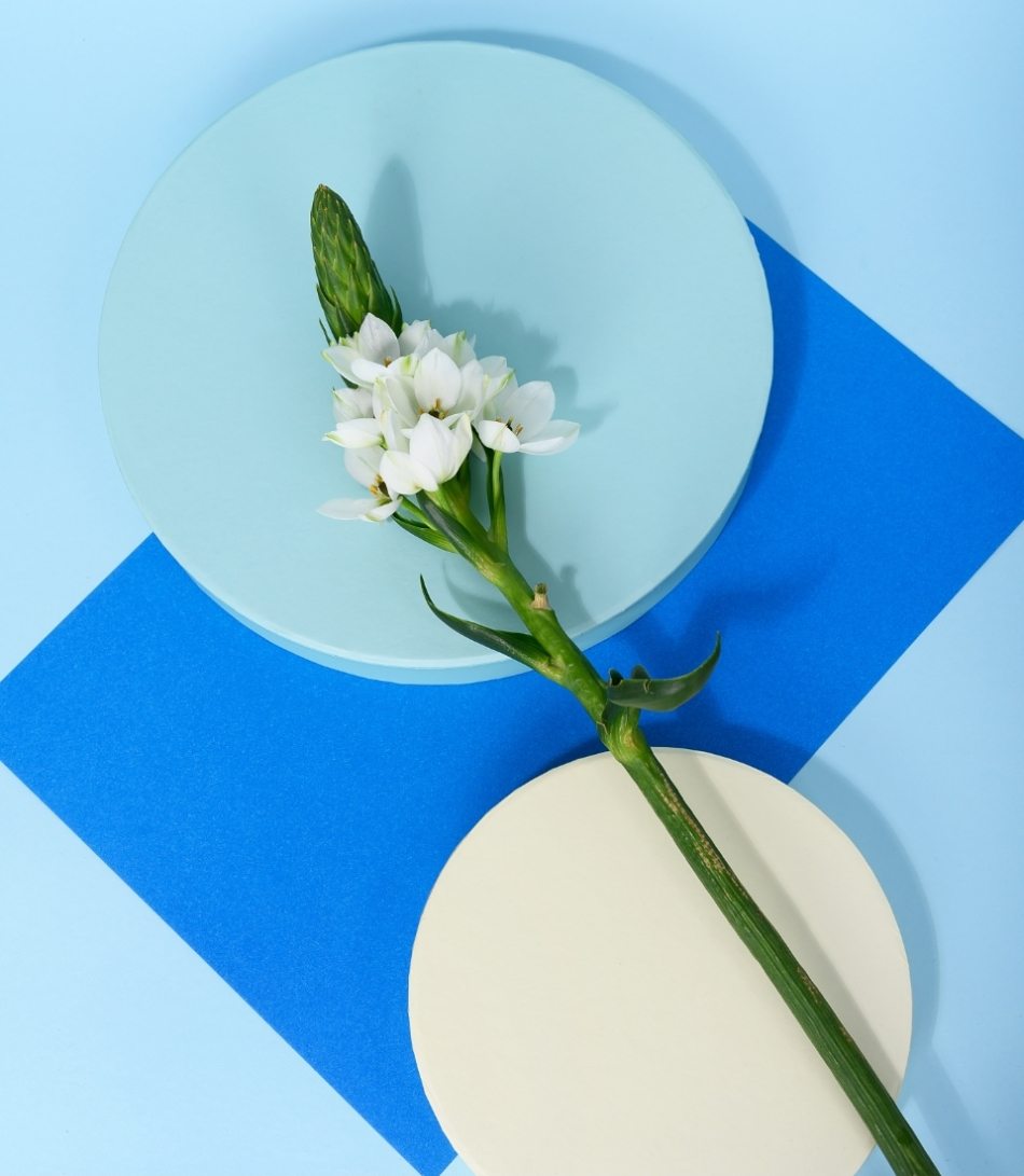 Home - Creative Corporate - Phlox Elementor WordPress Theme