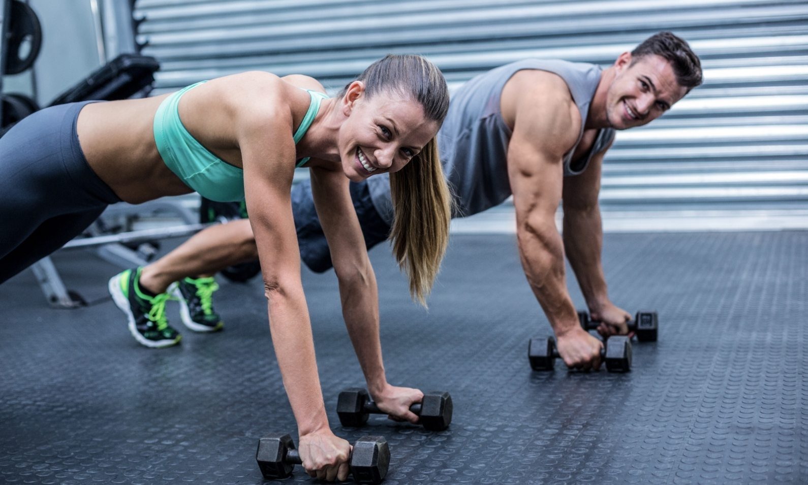 Training Elementor WordPress Theme - Phlox Pro