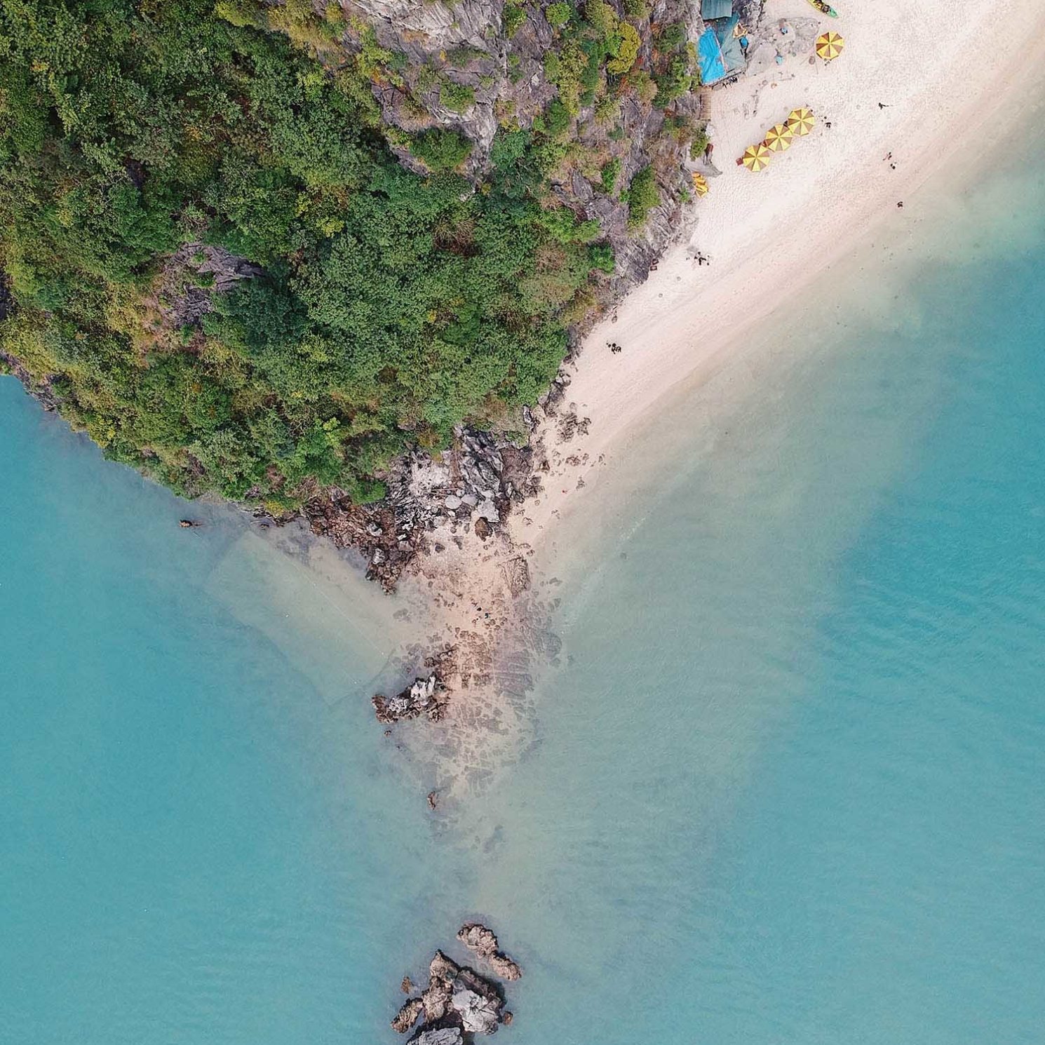 Portfolio - Phlox Photography Phlox Elementor WordPress Theme