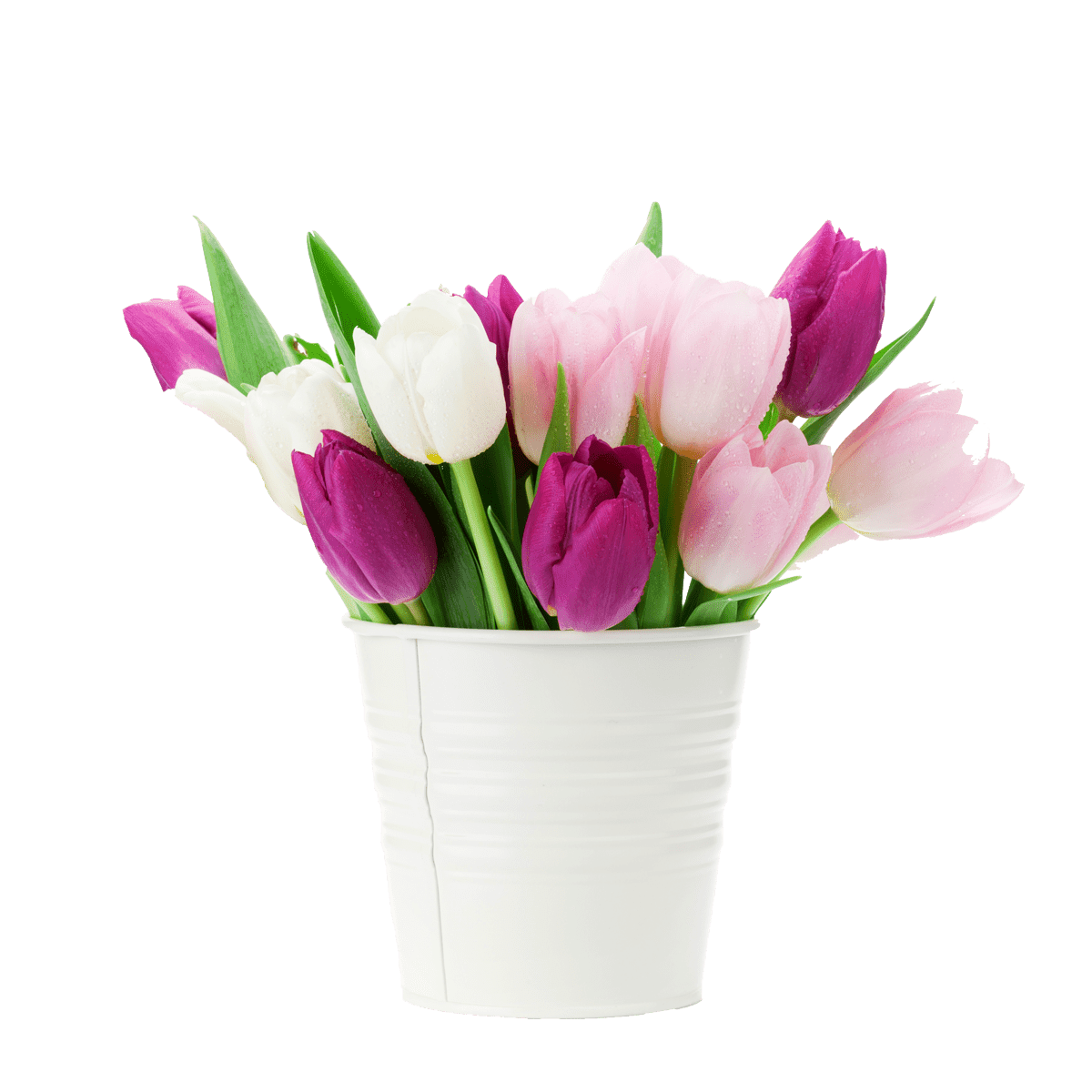 Purple Pink Tulips In Vase Flower Shop Phlox Elementor WordPress purple-pink-tulips-in-vase-flower-shop-phlox-elementor-wordpress
